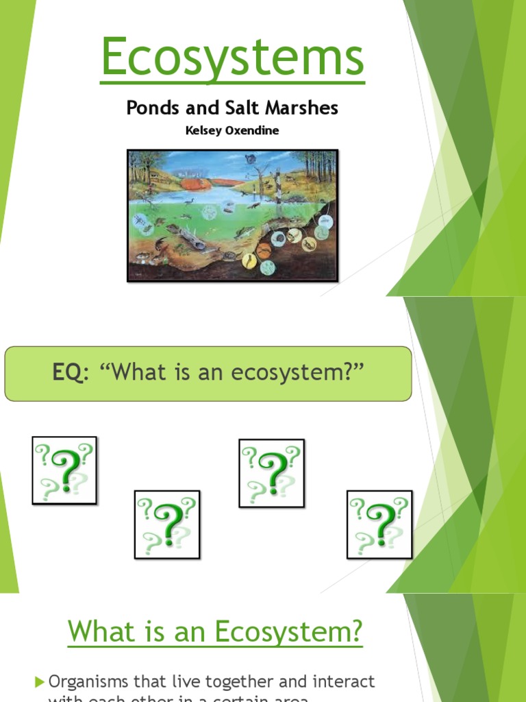Ecosystems Final | PDF | Science & Mathematics