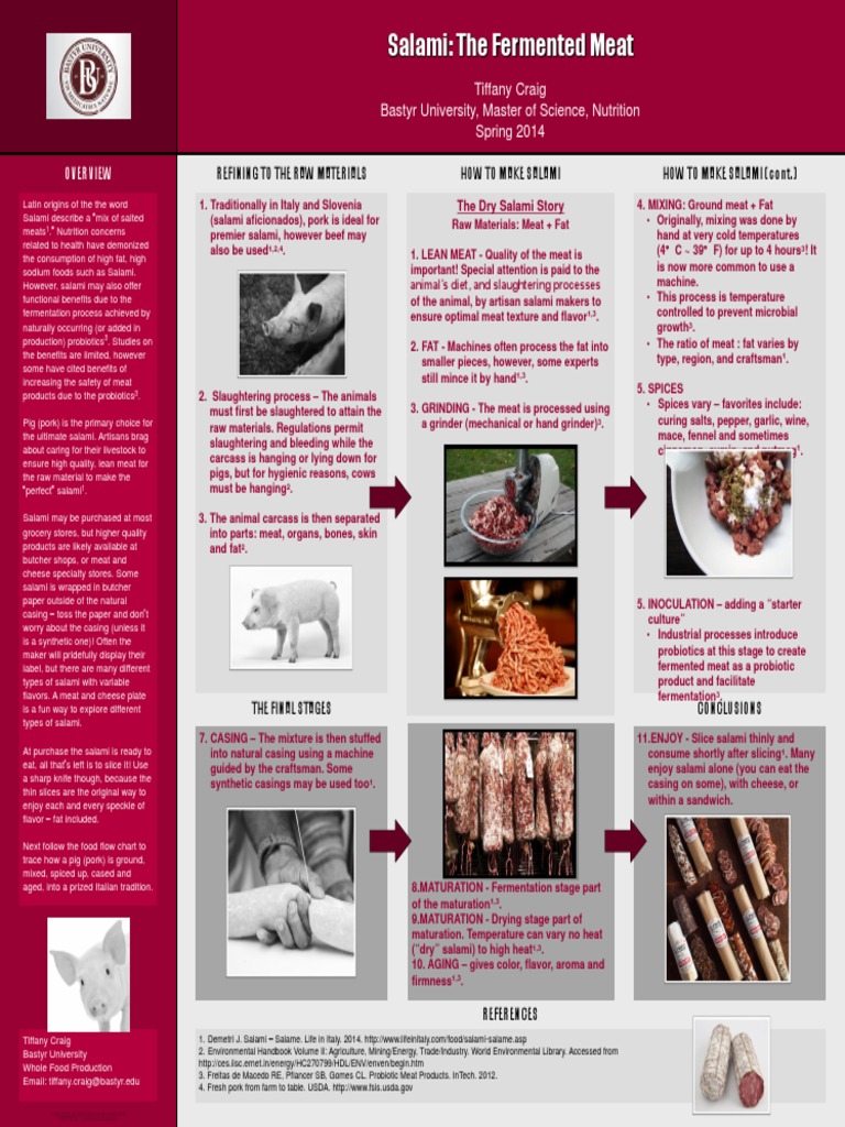 Salami Flow Chart | PDF | Meat | Animal Products