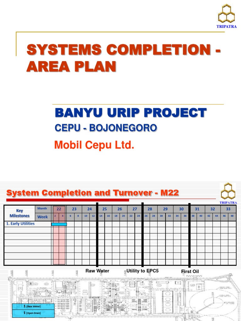 Systems Completion - Area Plan: Banyu Urip Project | PDF | Diesel ...