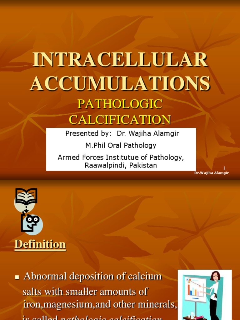 Intracellular Accumulations | PDF | Bone | Anatomy