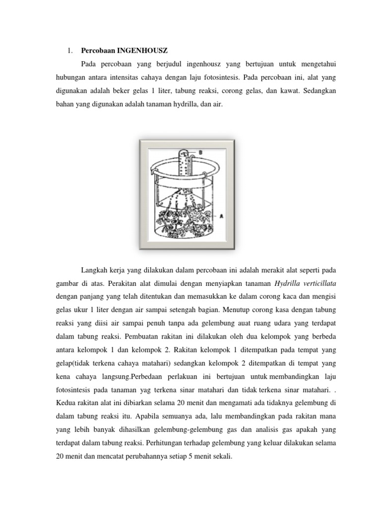 Percobaan INGENHOUSZ | PDF