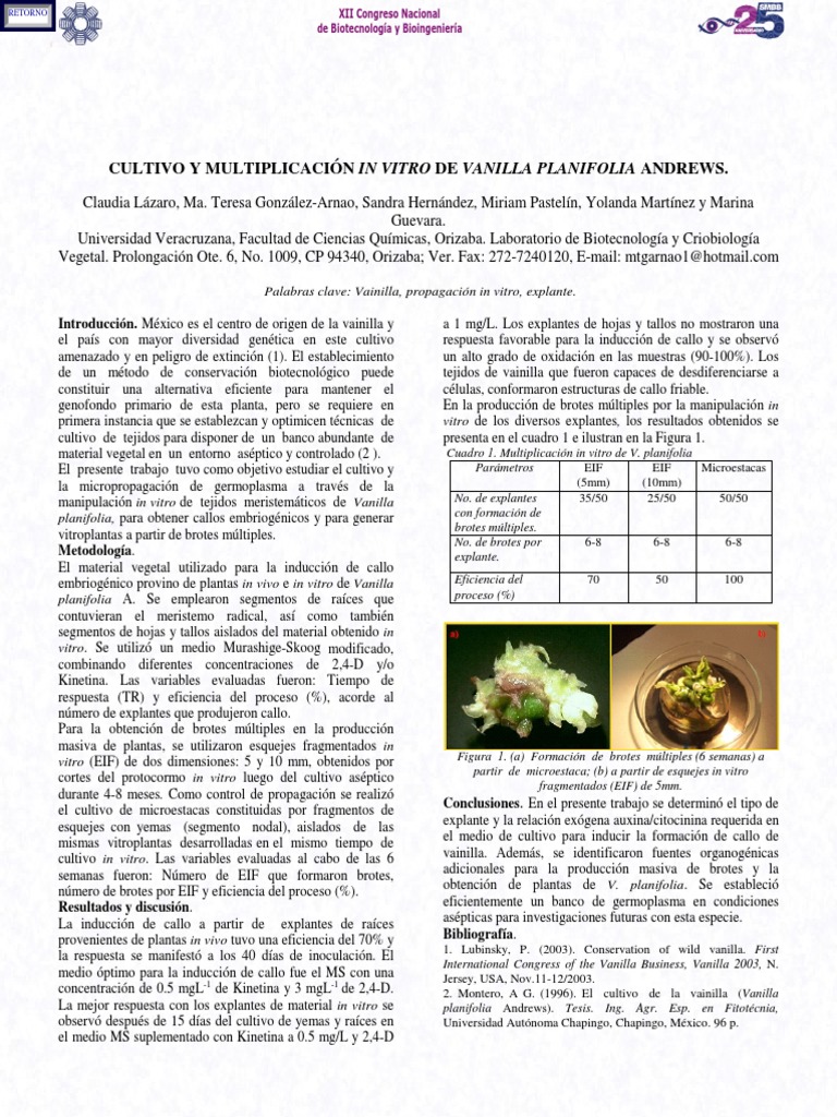 Cultivo in vitro de Vanilla planifolia | PDF | Biotecnología | Botánica