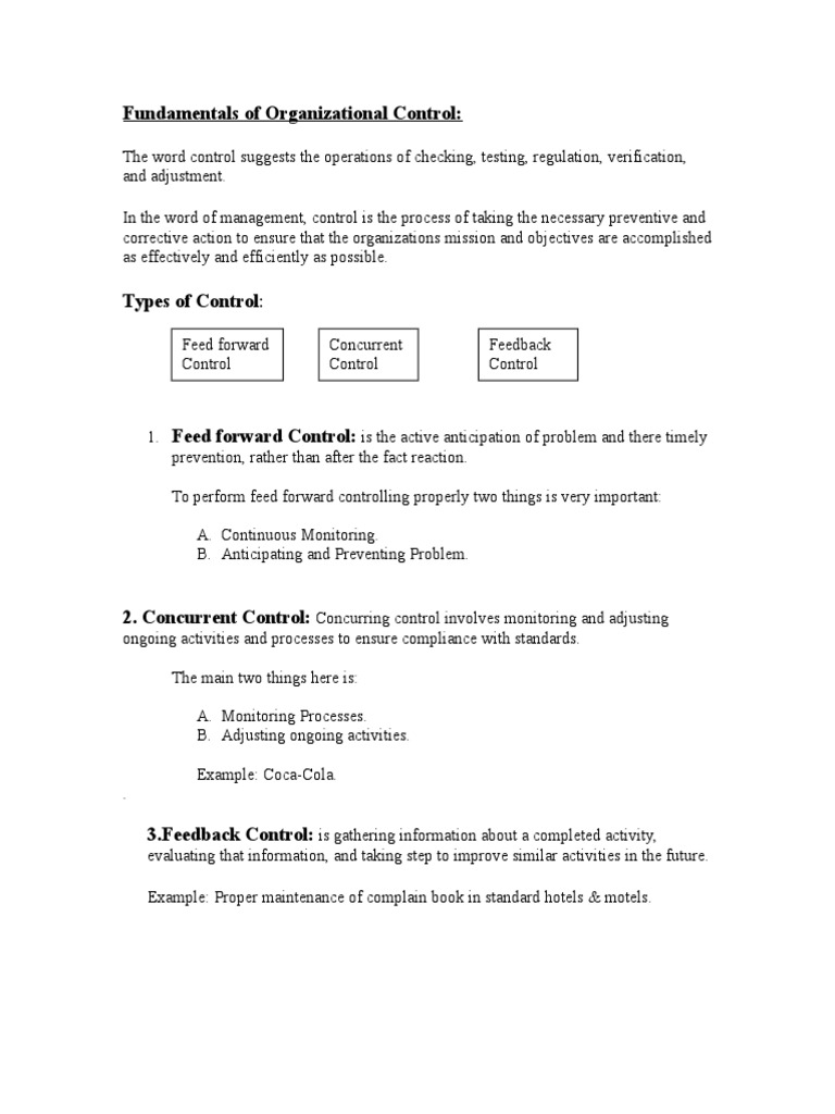Fundamentals of Organizational Control (Assignment) | PDF