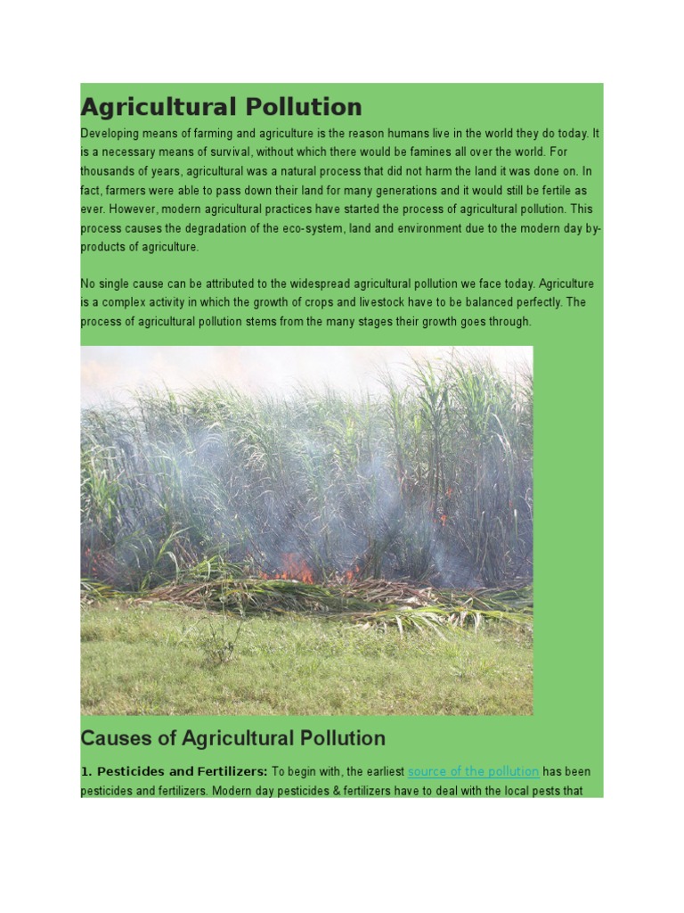 Agricultural Pollution | PDF | Agriculture | Pollution