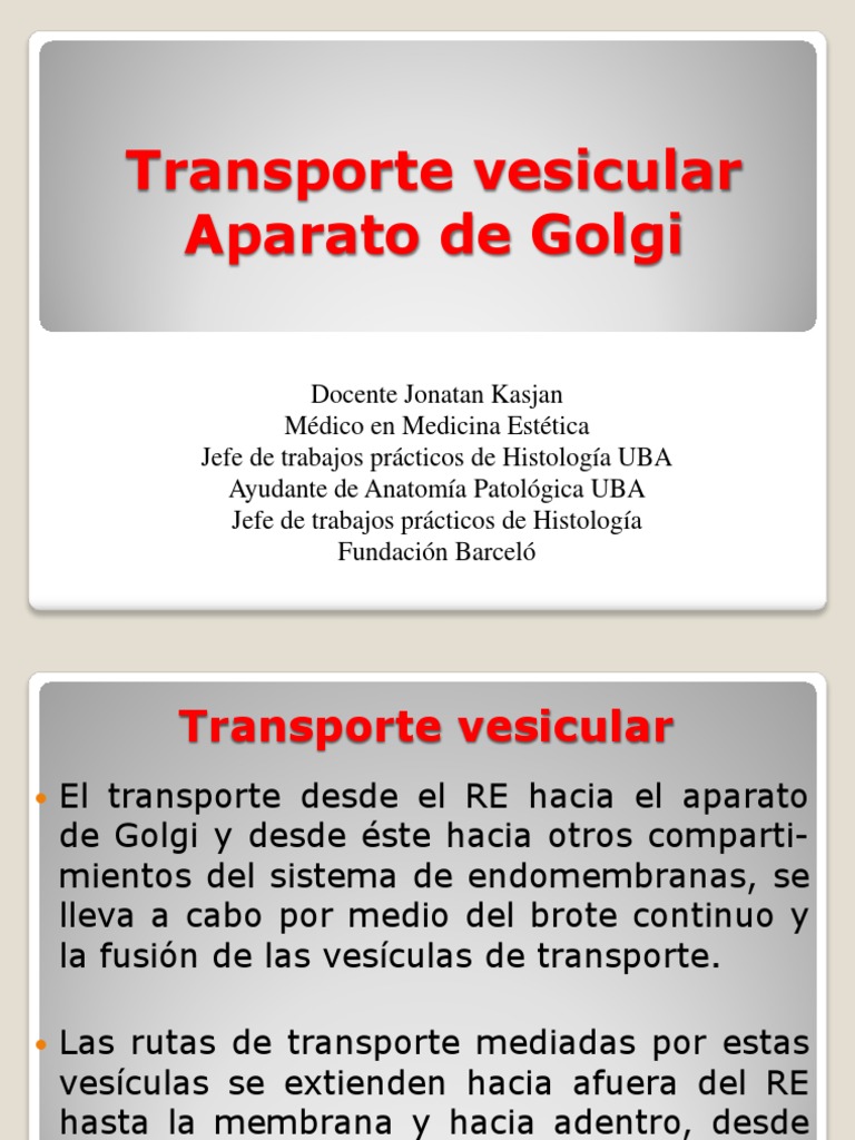Transporte Vesicular Aparato de Golgi | PDF | Lisosoma | Biología Celular