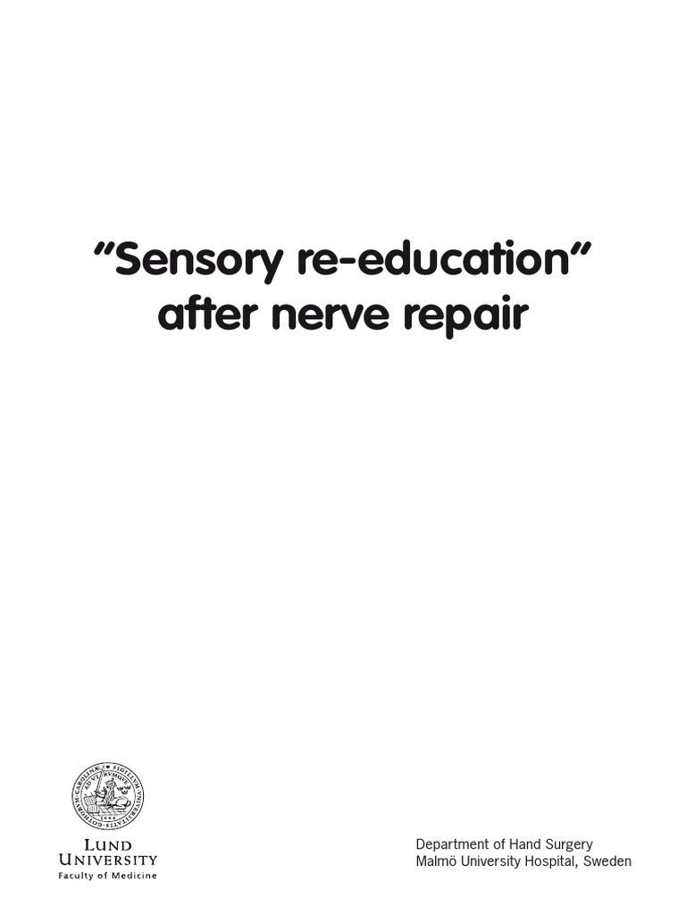 Sensory Re-Education - Eng | PDF | Somatosensory System | Perception