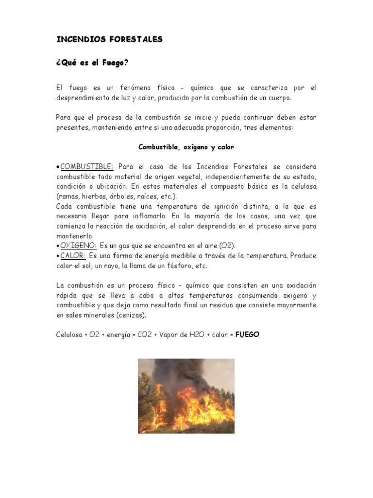 Que Es El Fuego PDF | PDF | Combustión | Combustibles