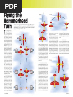 Lomcevak Aerobatic Maneuver Guide | PDF | Airplane | Aviation