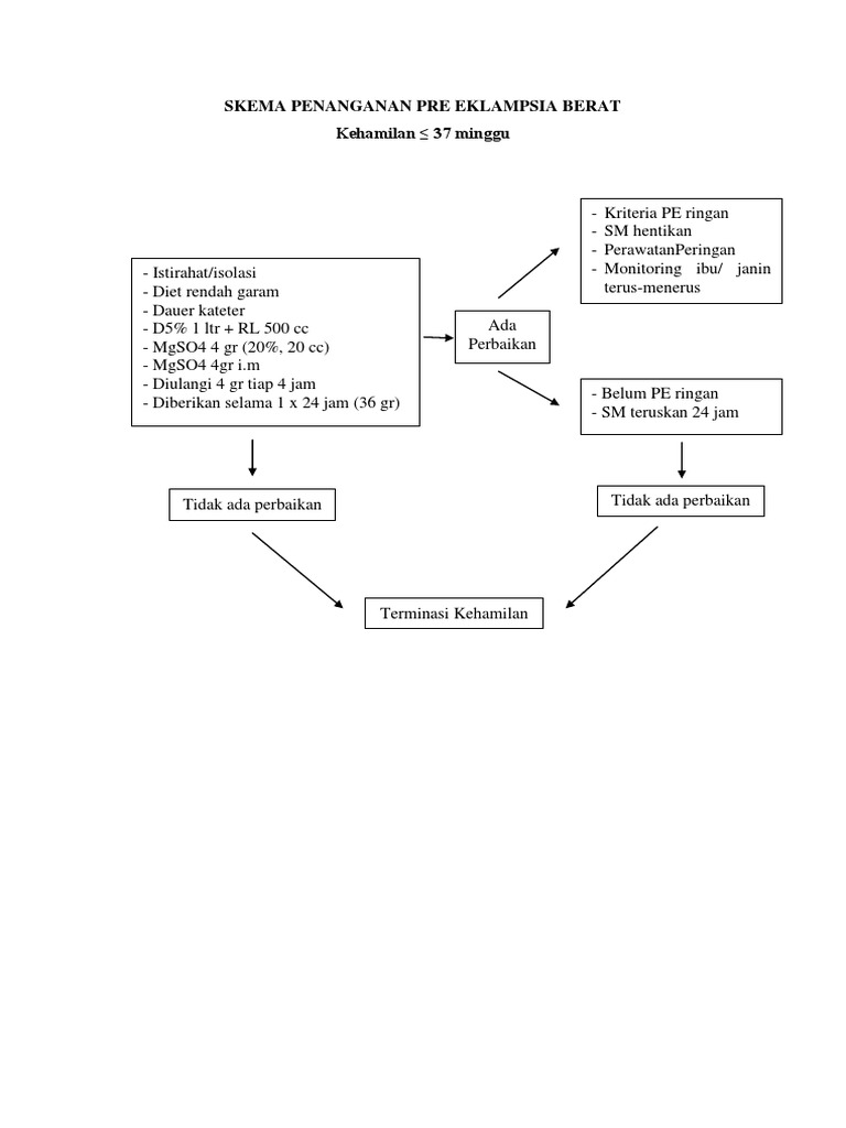 Skema Penanganan Pre Eklampsia Berat | PDF