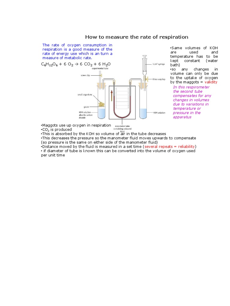 How To Measure The Rate of Respiration: C H O + 6 O 6 Co + 6 H O | PDF