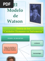 Modelos y Teorías de Enfermería - Lydia Hall | PDF | Enfermería | Medicina