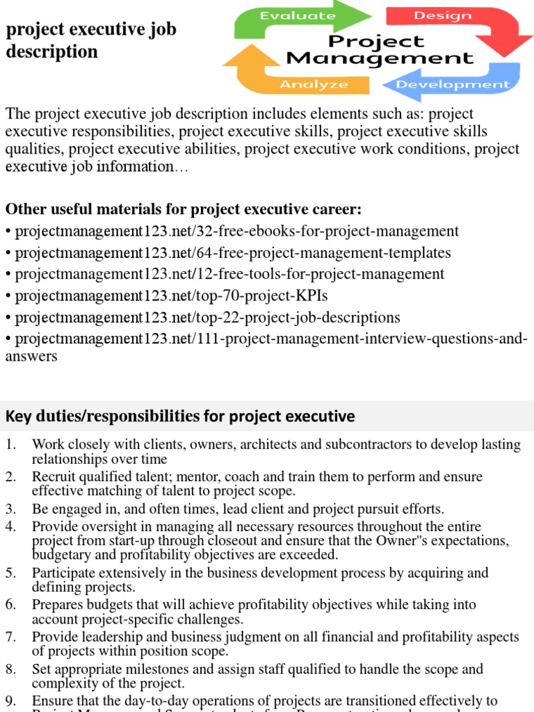 Project Executive Job Description | PDF | Project Management | Mentorship