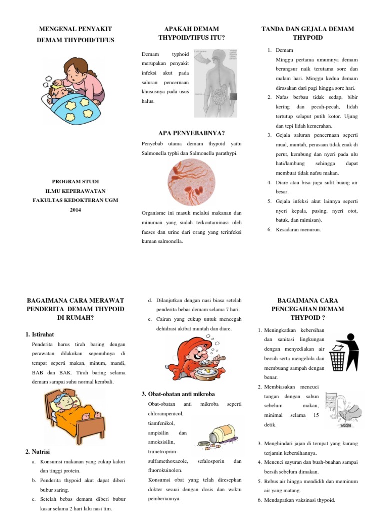 Leaflet Thypoid | PDF