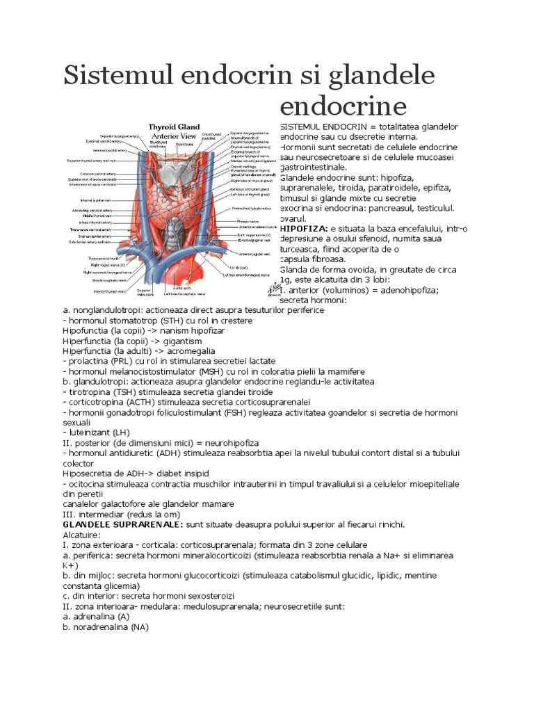 Sistemul Endocrin Si Glandele Endocrine