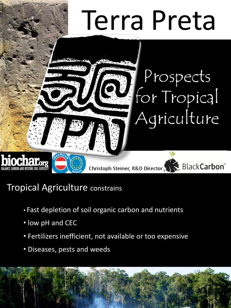 Terra Preta, Christoph Steiner | PDF | Charcoal | Soil