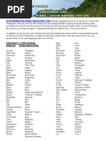 Common Kapampangan Words & Phrases | PDF