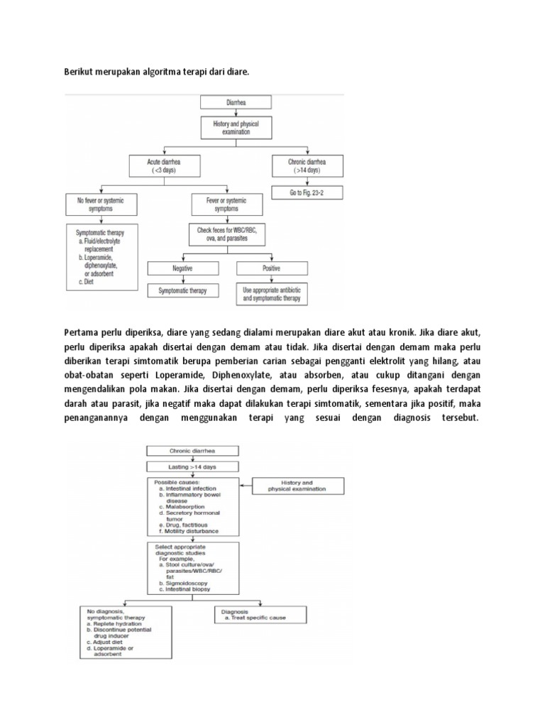 Algoritma Terapi Diare Akut dan Kronik | PDF