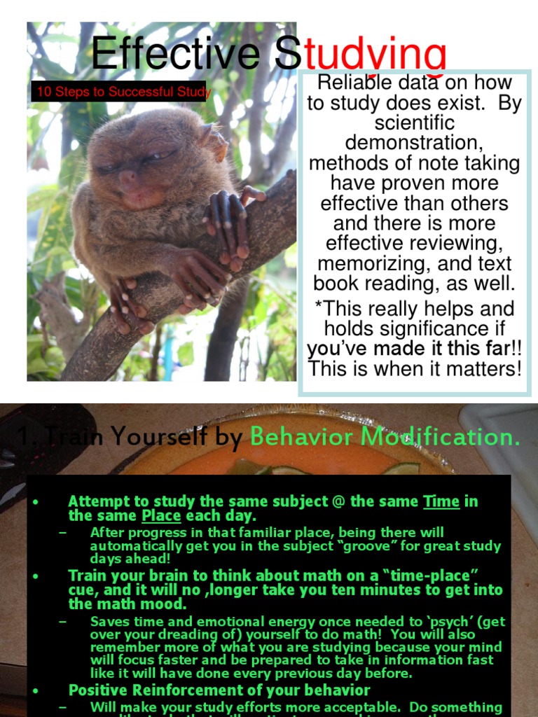 Effective Studying | PDF | Recall (Memory) | Psychological Concepts