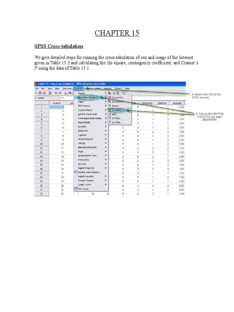 01 - Crosstabs | PDF