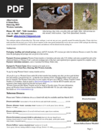 Aac Layout | PDF | Concrete | Building