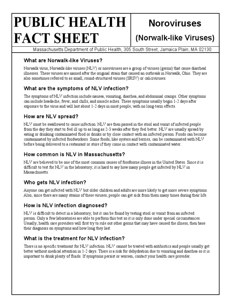 Norovirus Fact Sheet | PDF | Diarrhea | Infection