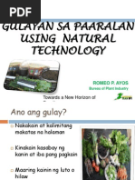 Hakbang Sa Pagsasaing NG Bigas | PDF