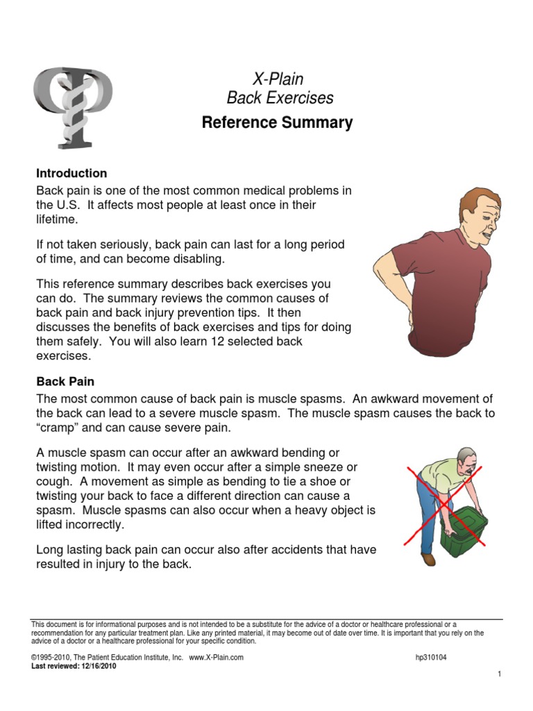 X-Plain Back Exercises | PDF | Back Pain | Physical Exercise