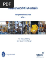 Example of Field Development | PDF | Casing (Borehole) | Risk