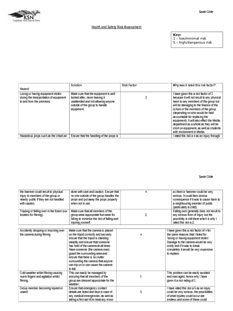 Risk Assessment | PDF | Risk Assessment | Risk