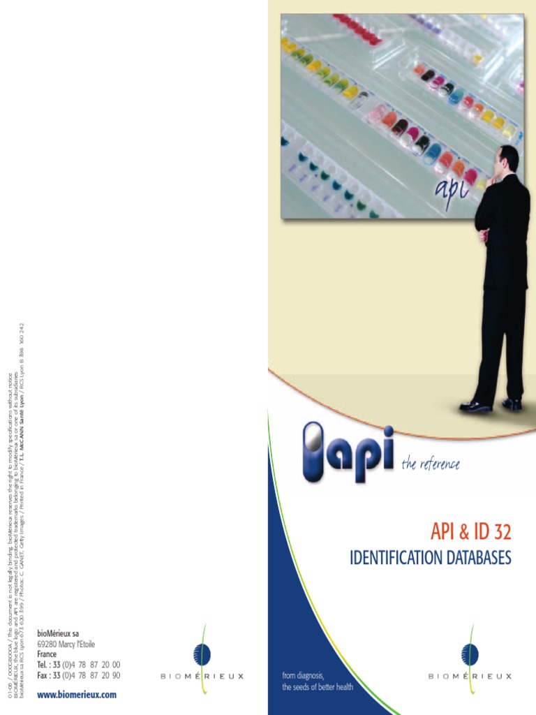 Api & Id 32: Identification Databases | PDF | Bacillus | Streptococcus