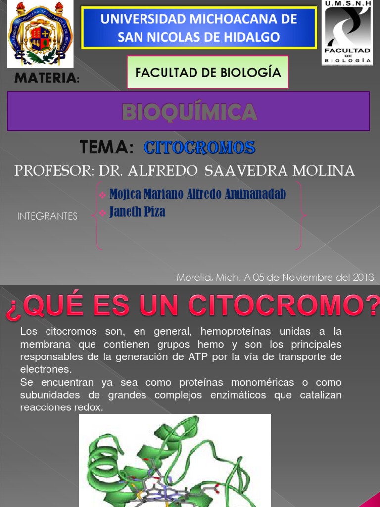 Citocromo | PDF | Porfirina | Redox