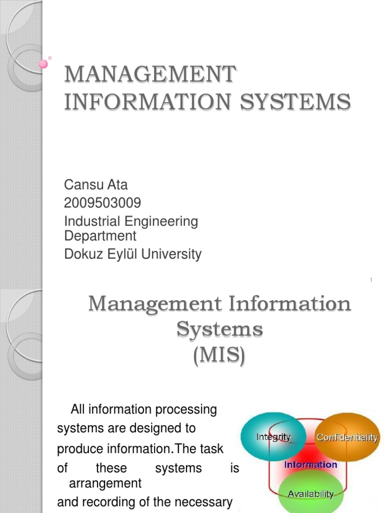 Overview of Management Information Systems | PDF | Management ...