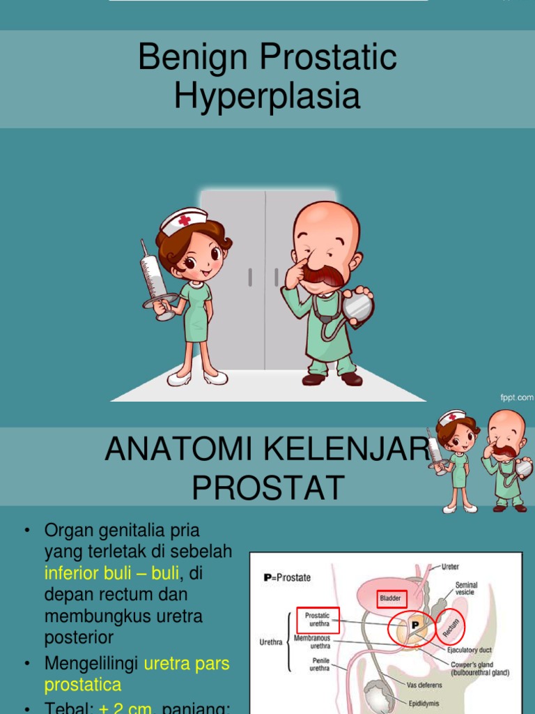 Referat BPH | PDF | Kesehatan Holistik