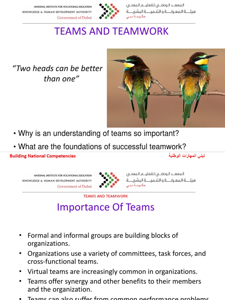 Foundations of Effective Teamwork: Understanding the Key Elements that ...