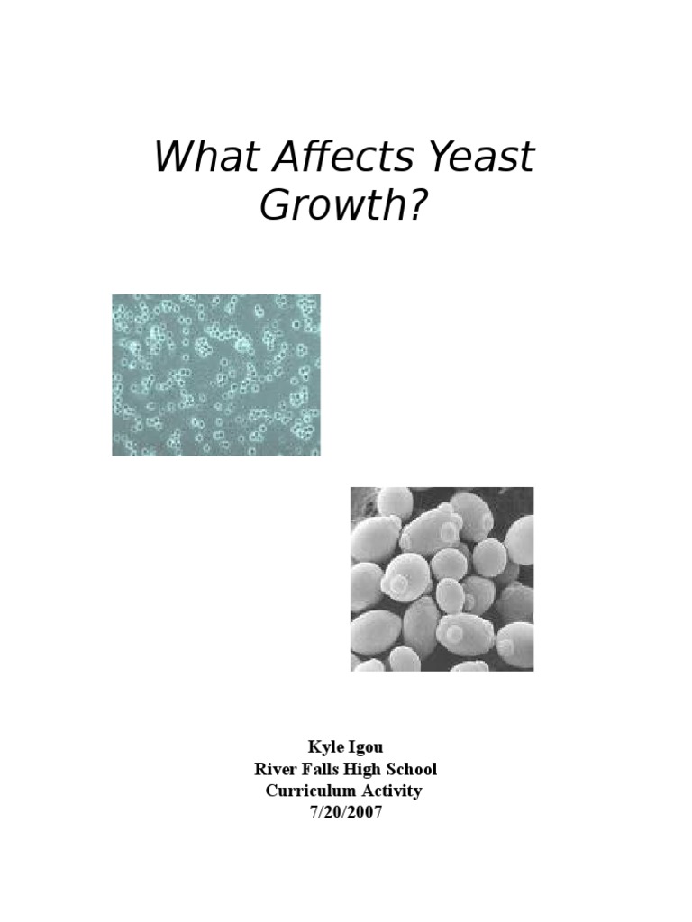 Growth and maintenance of yeast | yeast growth curve – PBFF
