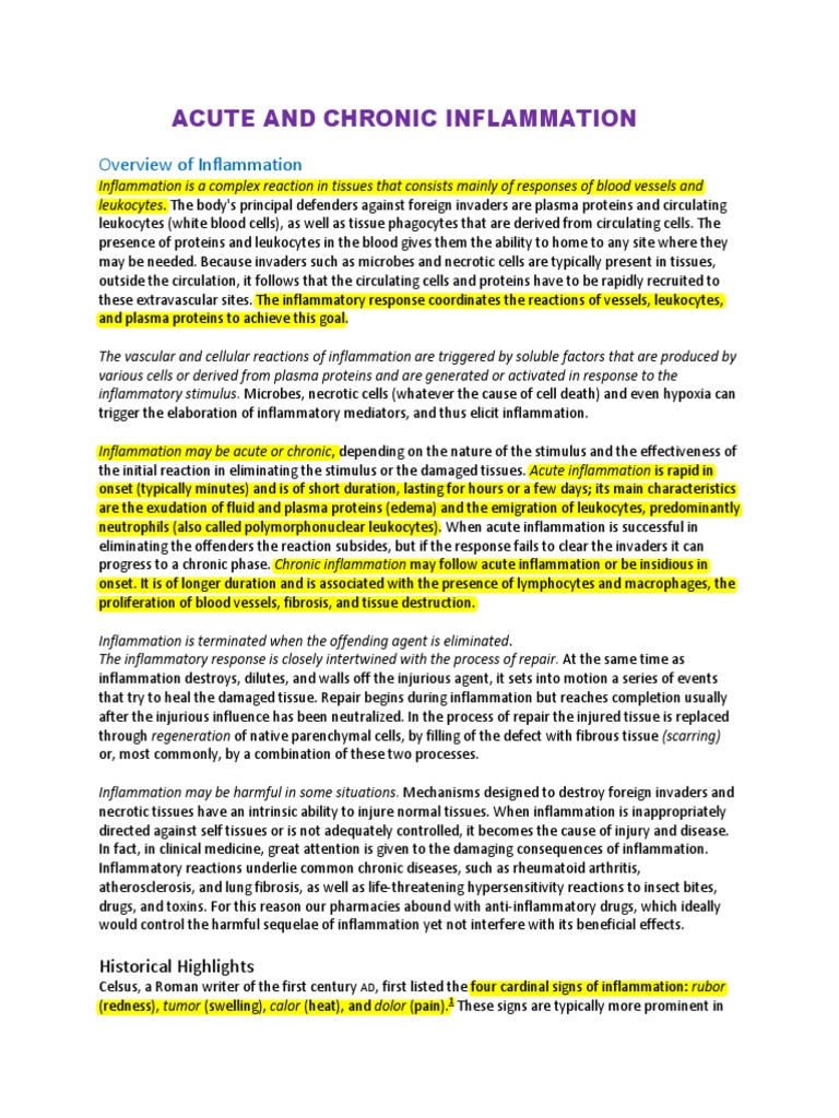 Acute and Chronic Inflammation | PDF | Inflammation | Phagocyte