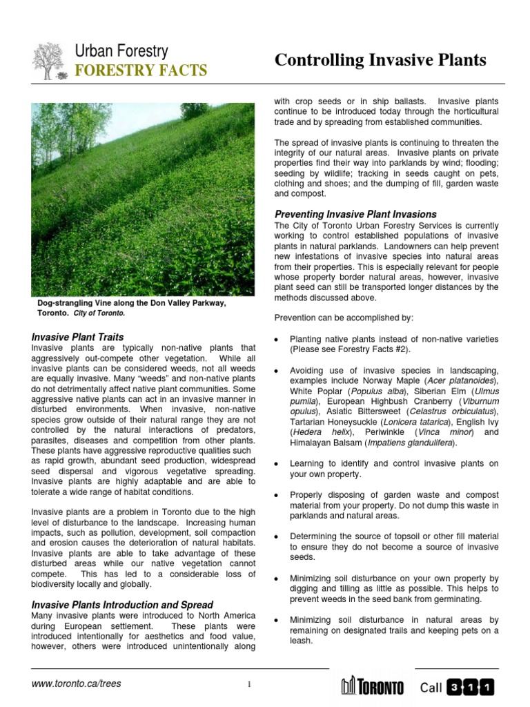 Controlling Invasive Plants | PDF | Invasive Species | Weed