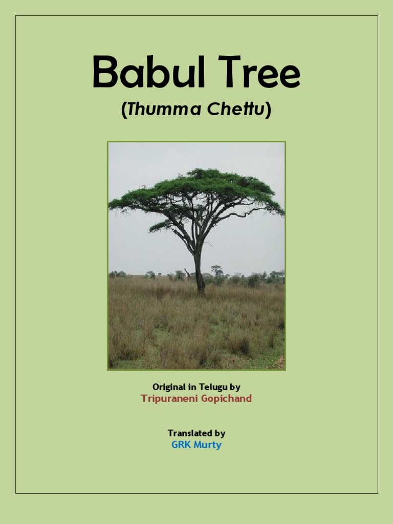 The Value of the Babul Tree | PDF