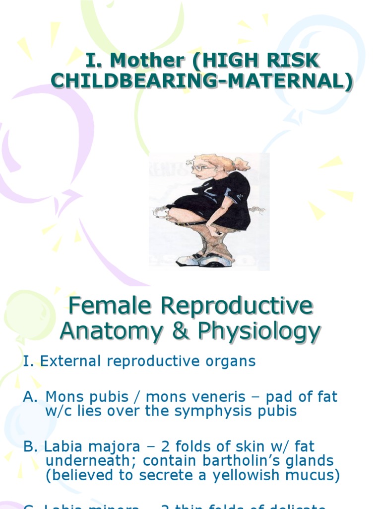 1 Mother (High Risk Childbearing-Maternal) | PDF | Fetus | Pregnancy