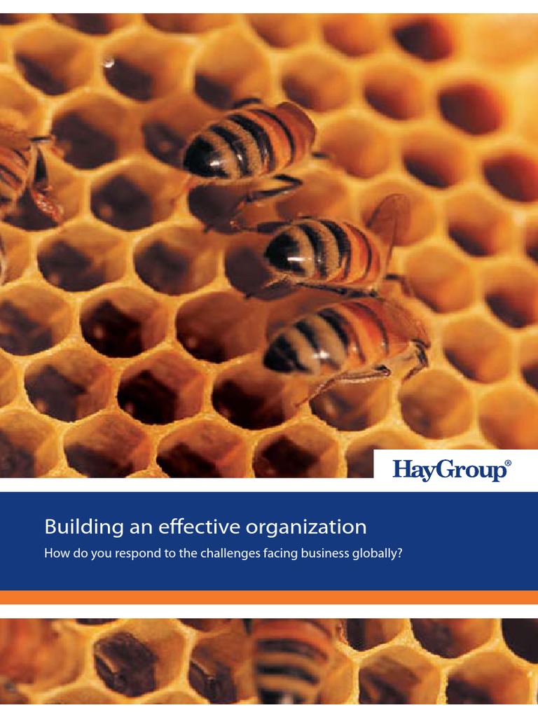 Hay Group Building Effective Organization | PDF | Mergers And ...