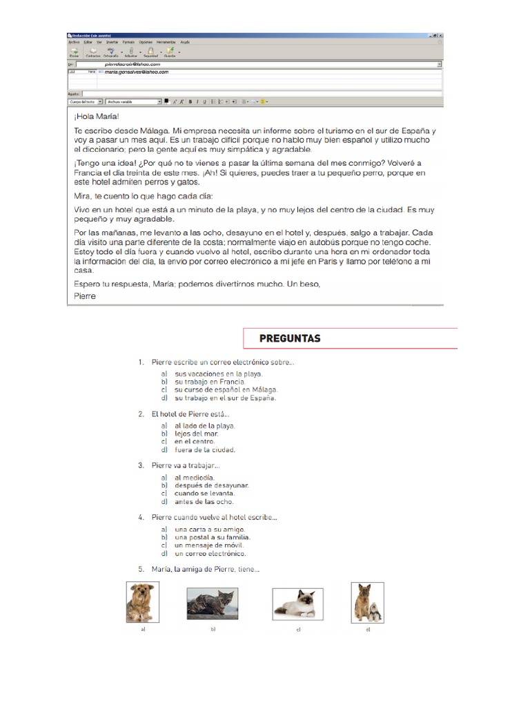 Comprensión Lectora DELE A1 | PDF