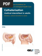 Modified Barthel Index (Shah Ver.) | Urinary Incontinence | Wheelchair