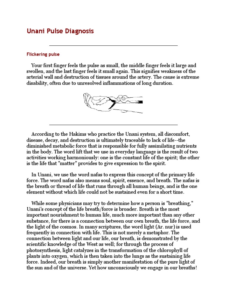Unani Pulse Diagnosis | PDF | Pulse | Rhythm