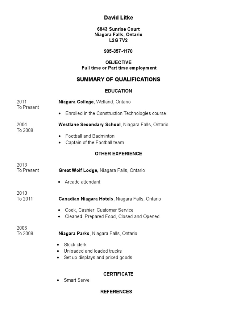 Davids Resume2 | PDF | Business | Computers