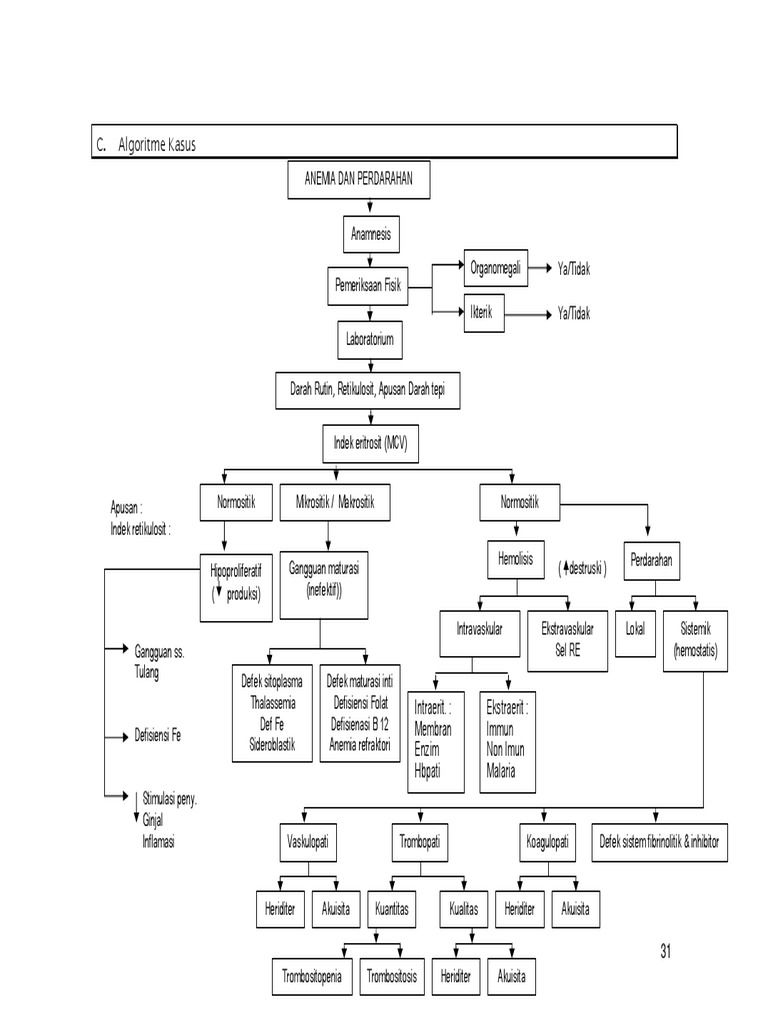 Anemia Flowchart | PDF | Wellness | Science & Mathematics