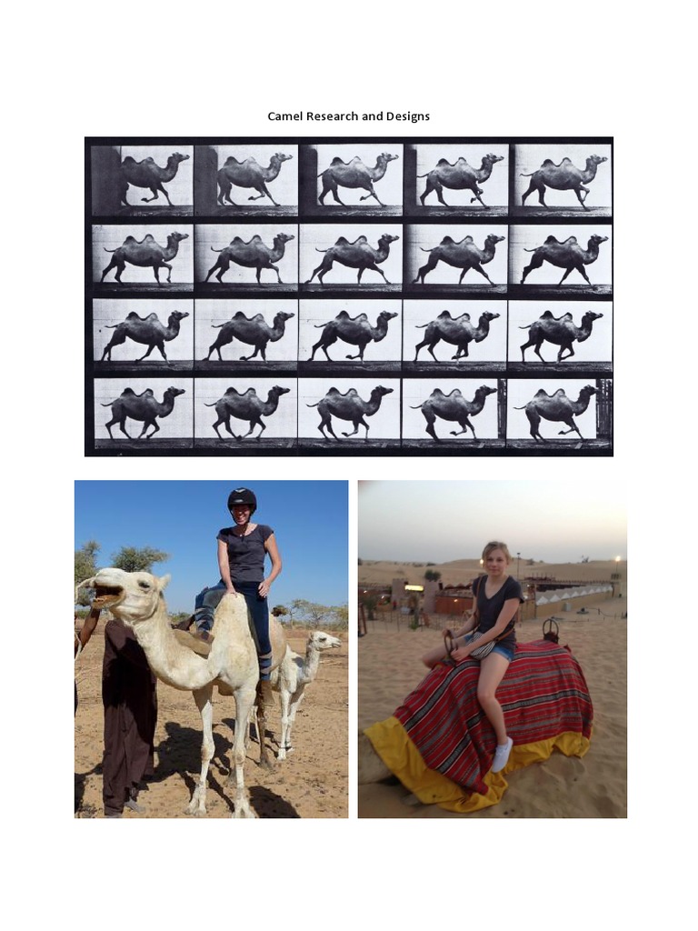 Camel Research and Designs | PDF