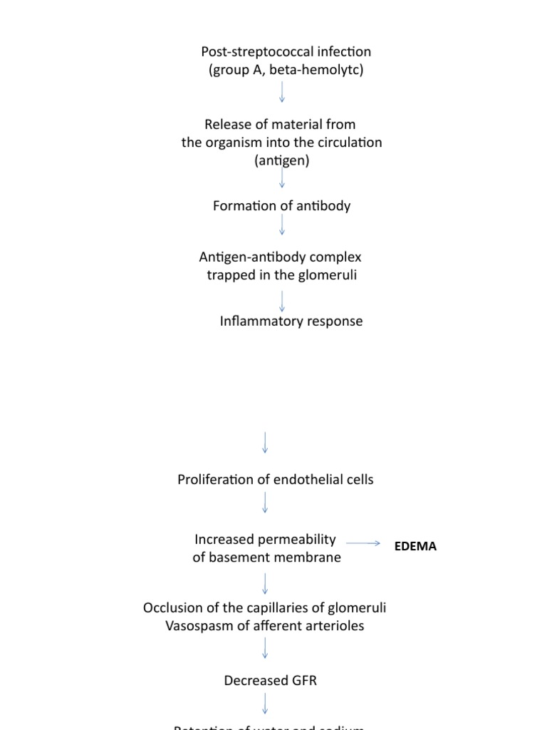 Acute Glomerulonephritis Pathophysio | PDF