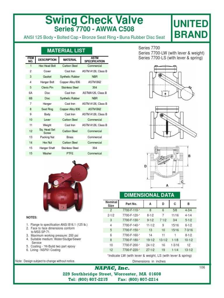 CI Check Valve | PDF