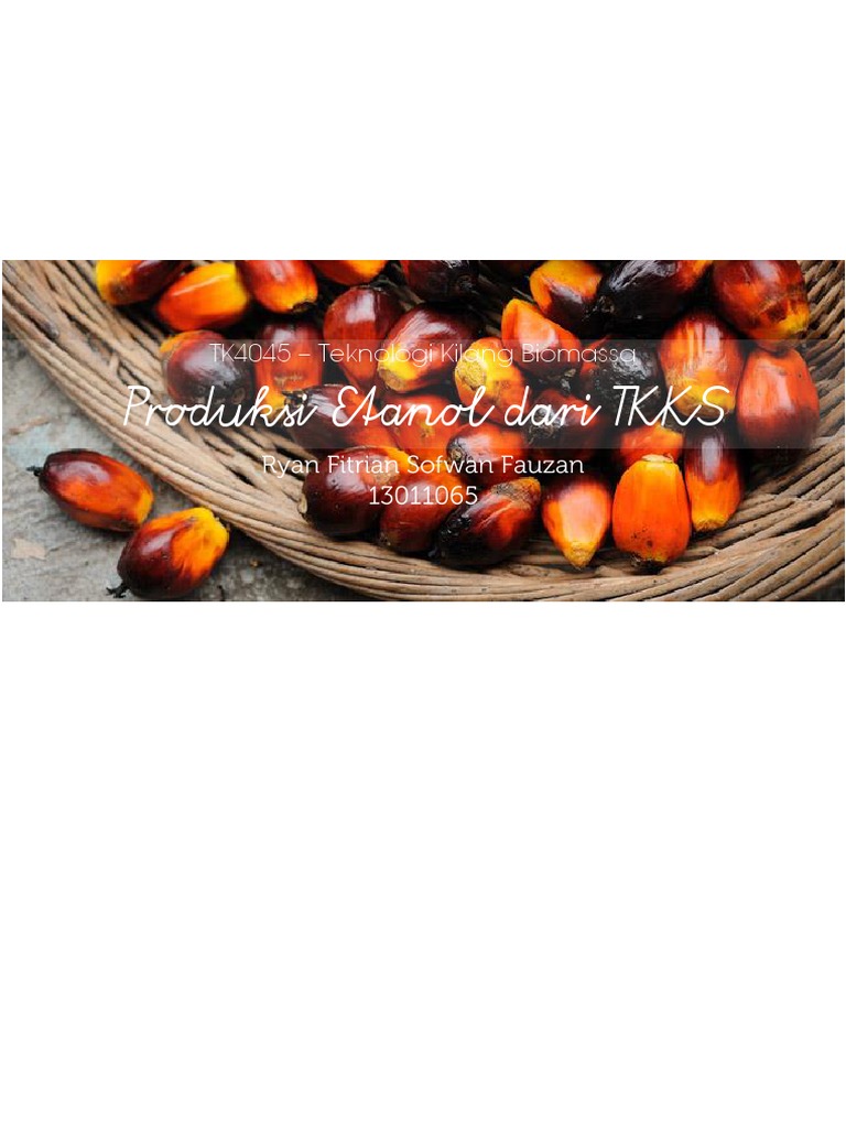 Bioetanol Generasi Kedua | PDF | Kesehatan Holistik