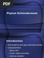 Echinoderms 3 | PDF